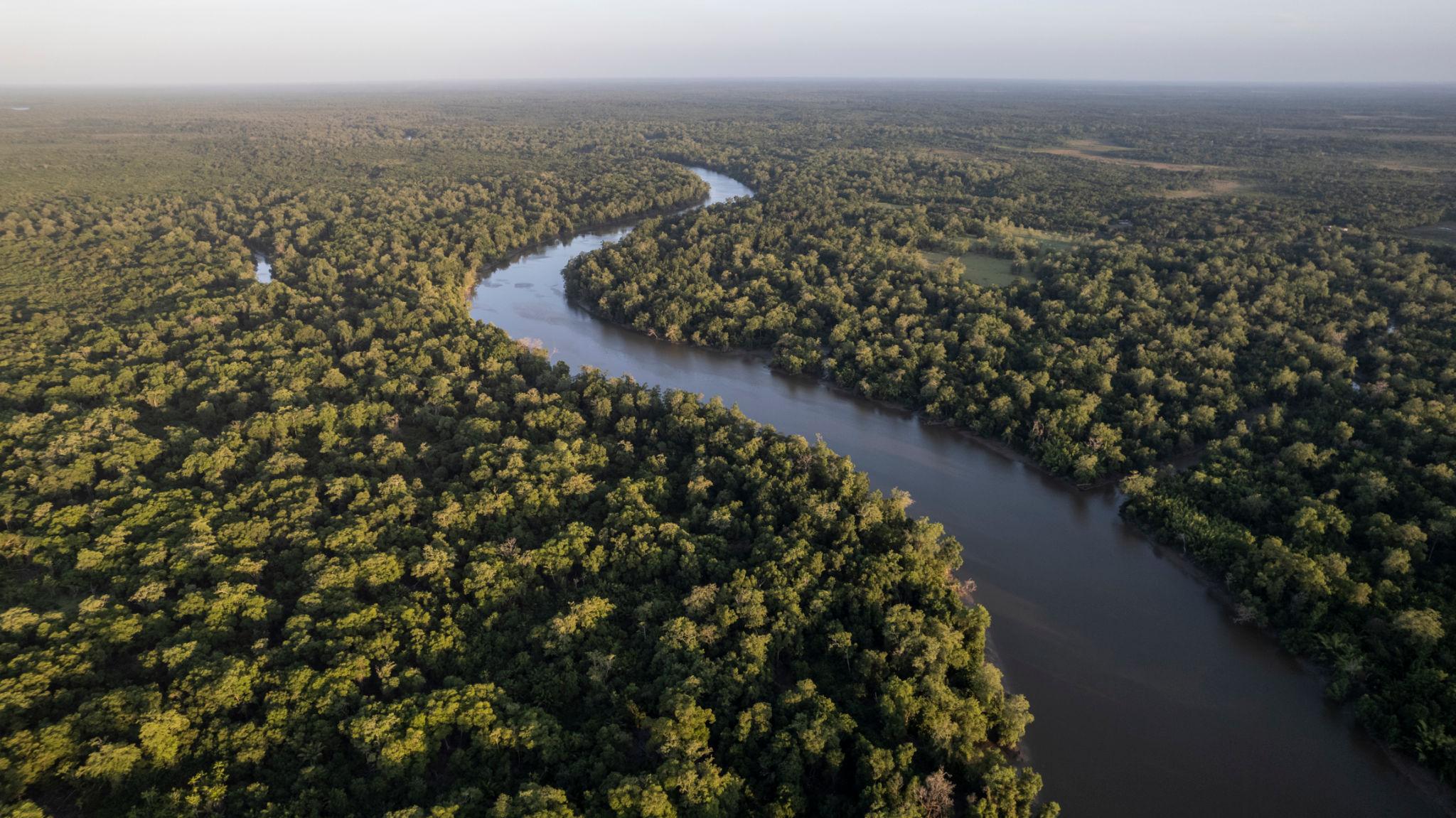 10 Ways To Make This World Rainforest Day Awesome - Celebrate Today